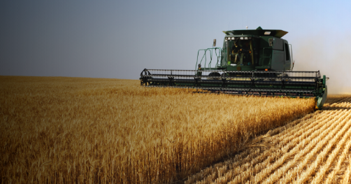 Agriculture Value Chain | Agribusiness Value Chain Management - Wipro