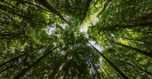 Wipro CSR Activities: Engaging for Sustainable Change